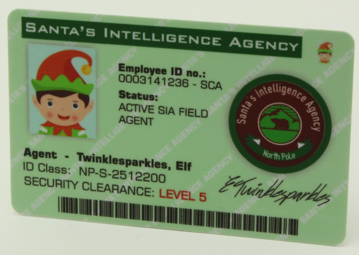 Acrylic Craft Elf Spy ID Cartoon